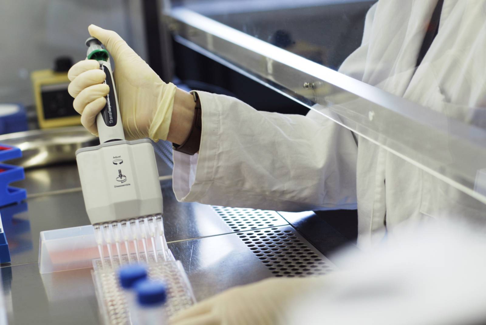 TiHo: Zweiter Platz im Shanghai-Ranking | Wirtschaft & Wissenschaft ...