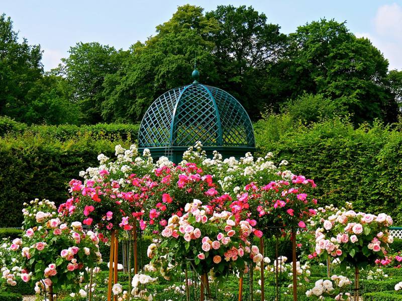Der Niederdeutsche Rosengarten | Großer Garten | Herrenhäuser Gärten