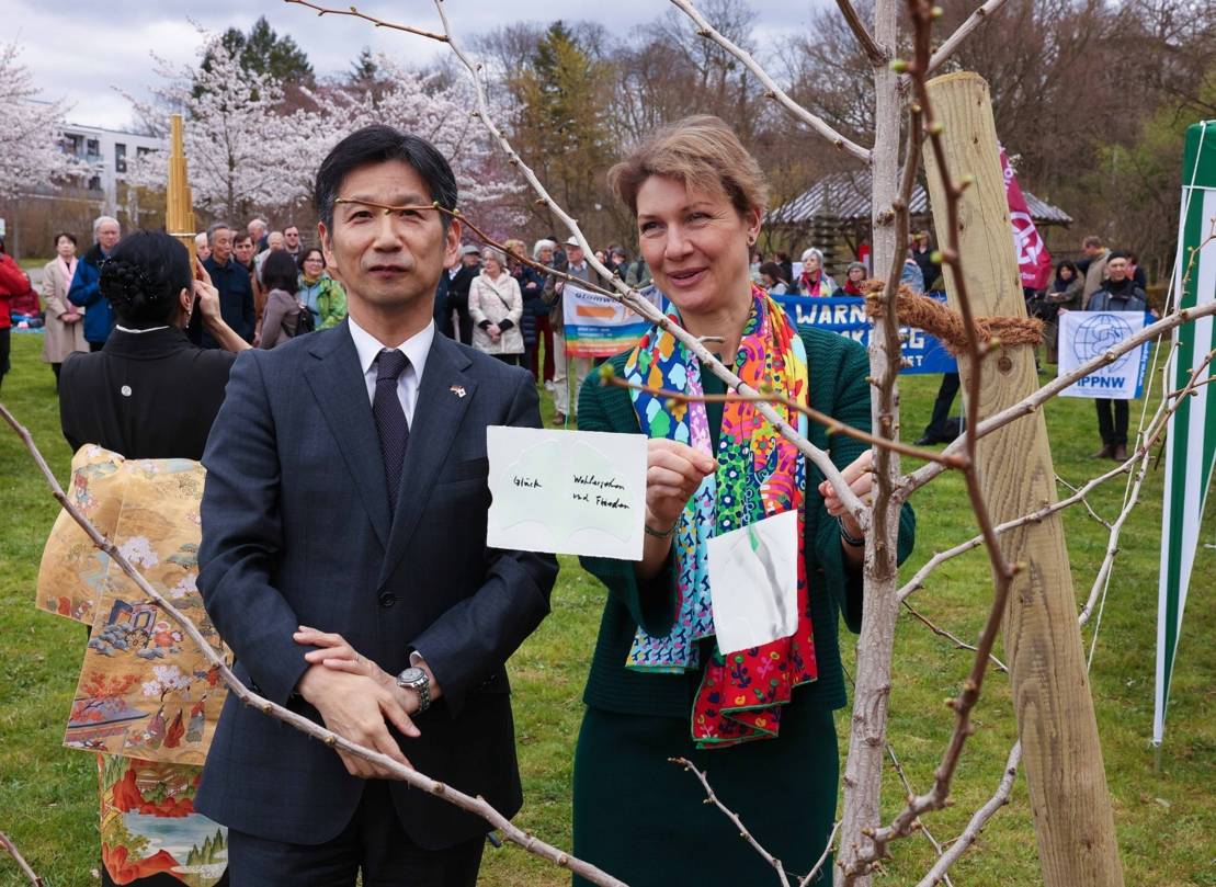 Stuttgart pflanzt einen Ginkgo-Baum für Frieden - Hannover.de