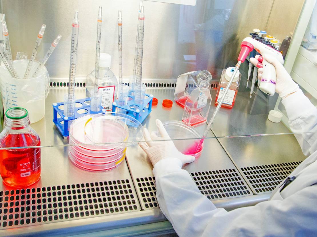 Bessere Gentaxis - Hannover.de