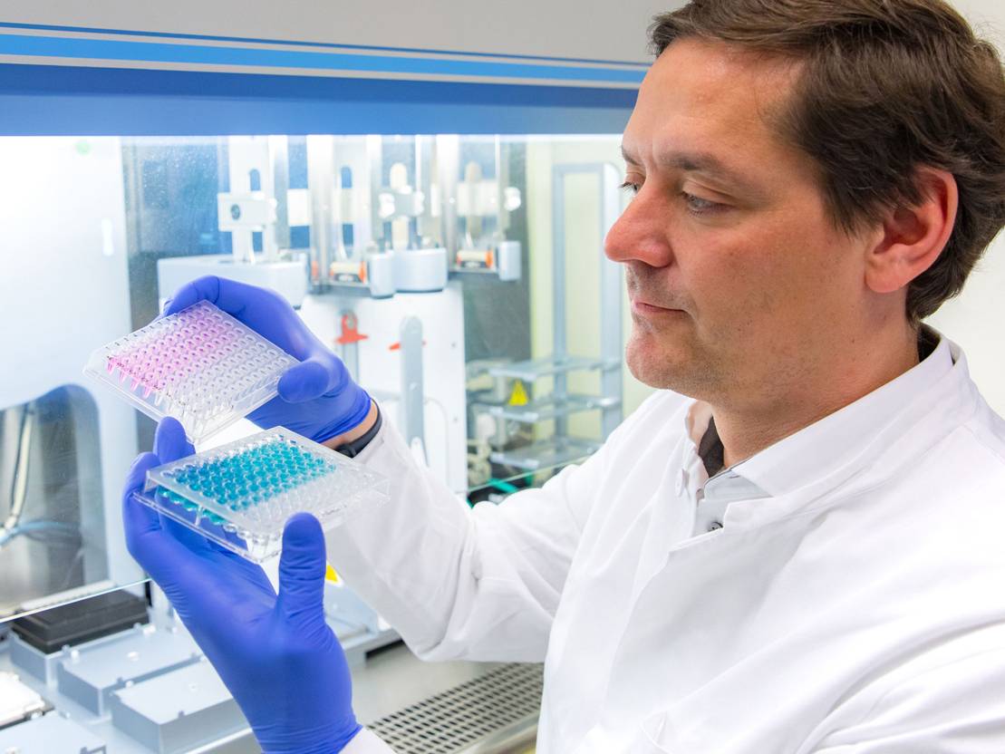 Organ- und Immunalterung bei Herz- und Lungenerkrankungen | Wirtschaft ...