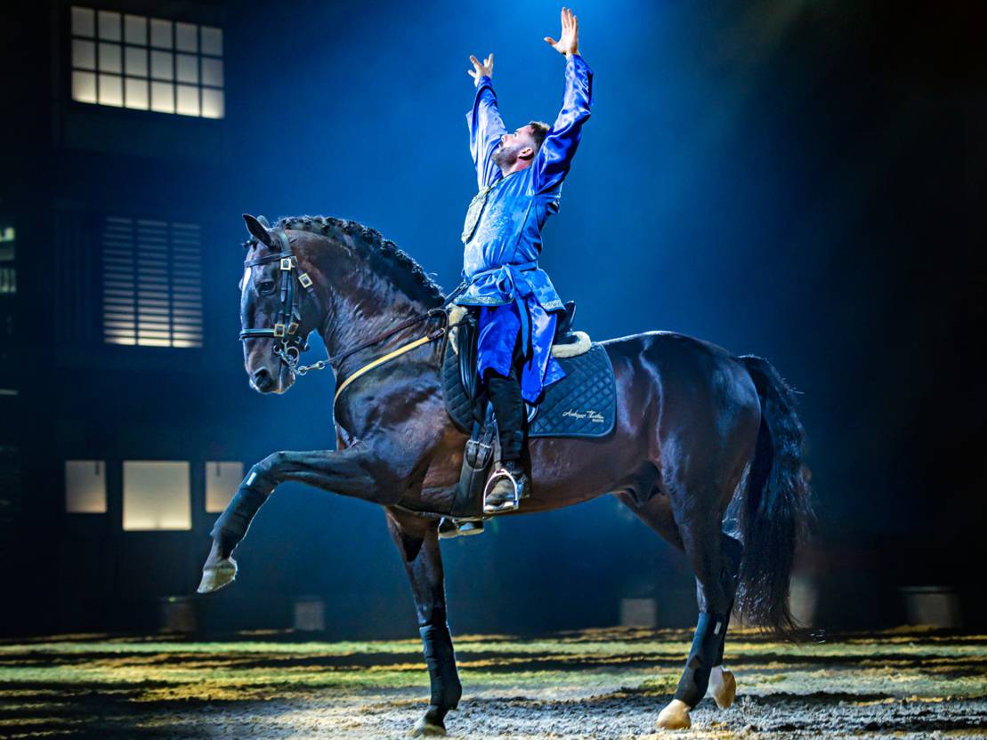 Cavalluna 2026 – Tor zur Anderswelt | Bühnen | Termine