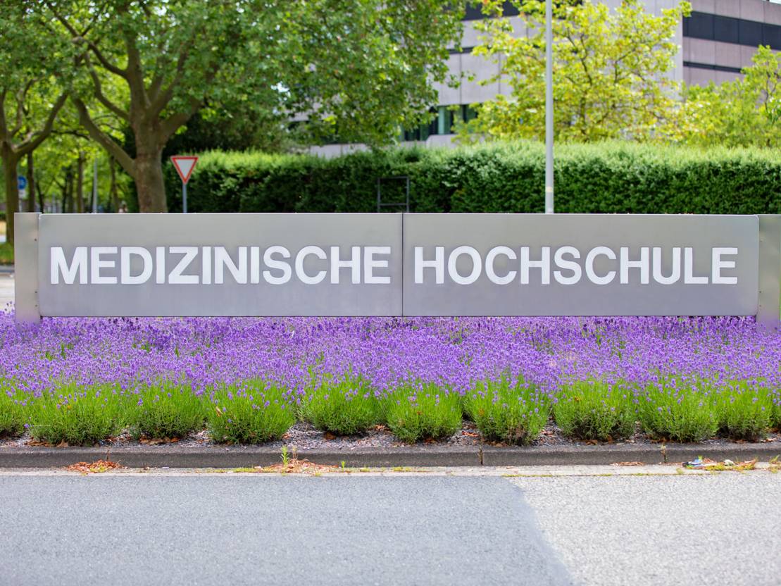 MHH gehört zu den besten Kliniken der Welt - Hannover.de