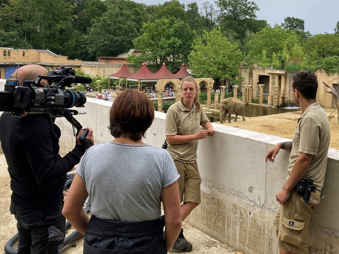 Der Erlebnis-Zoo im NDR - Hannover.de