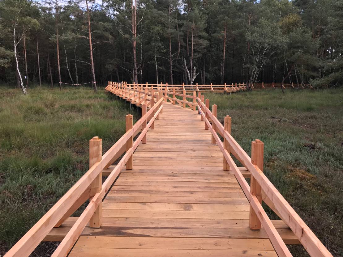 Holzsteg