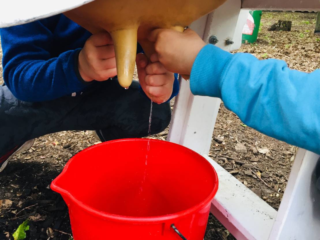 Melken | Lernort Bauernhof | Umwelt | Bilder Region Hannover | Bilder | 01 DATA (Neu) | Media ...