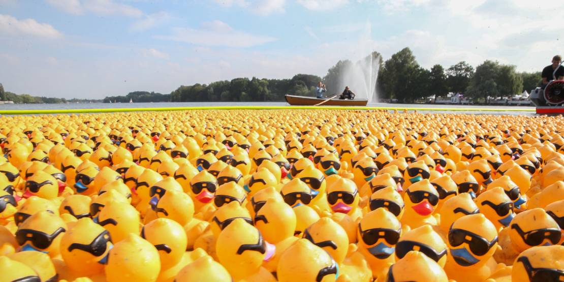 Entenrennen auf dem Maschsee - Hannover.de