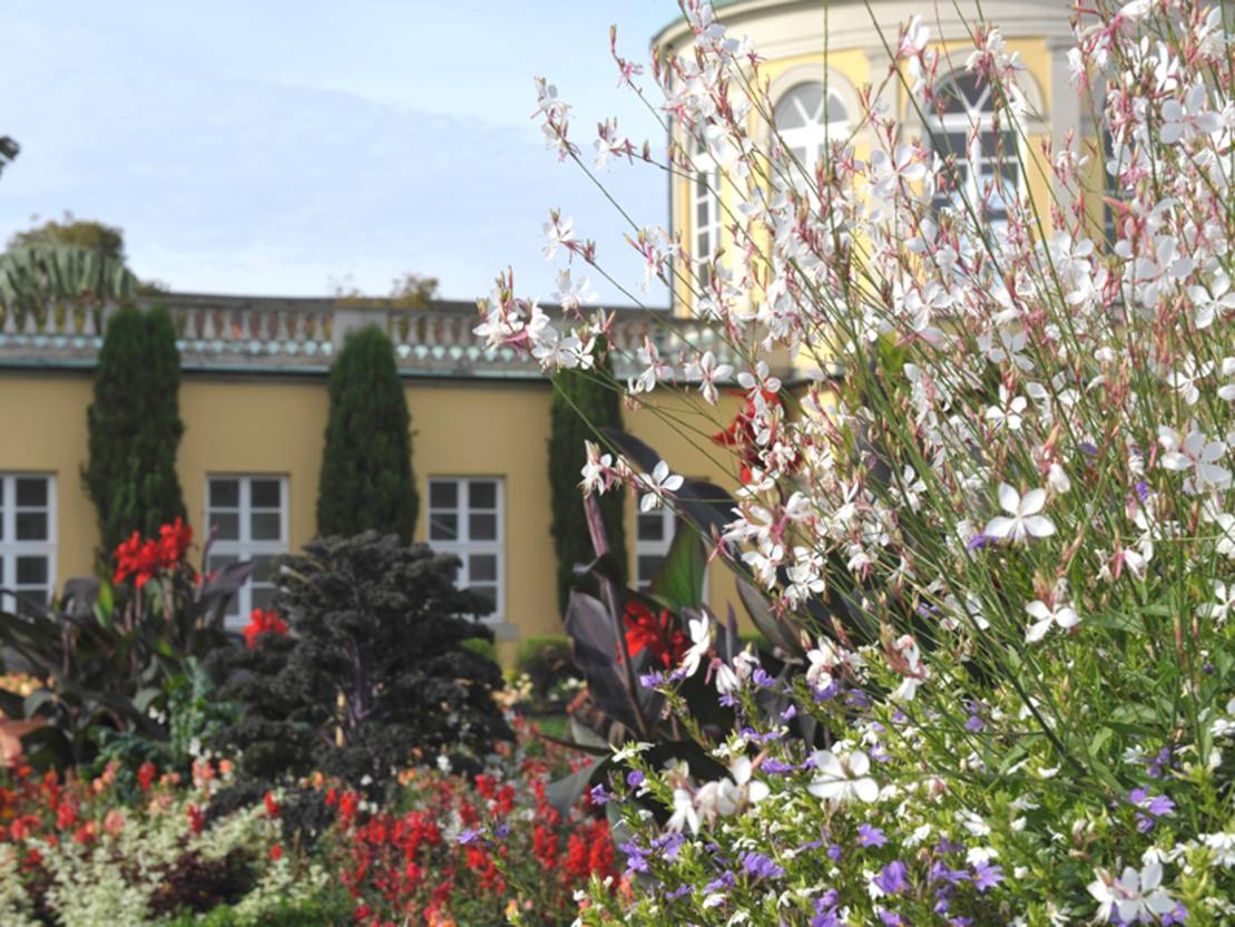 Berggarten