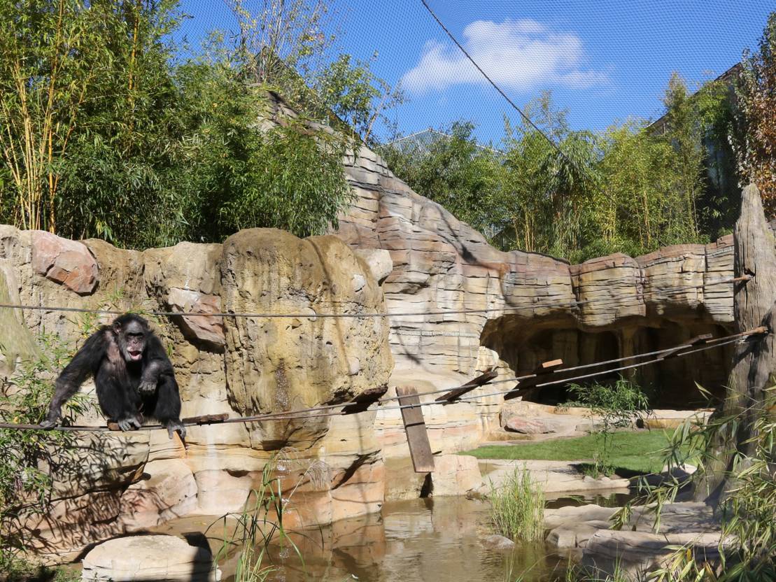 Themenwelten im Erlebnis-Zoo - Hannover.de
