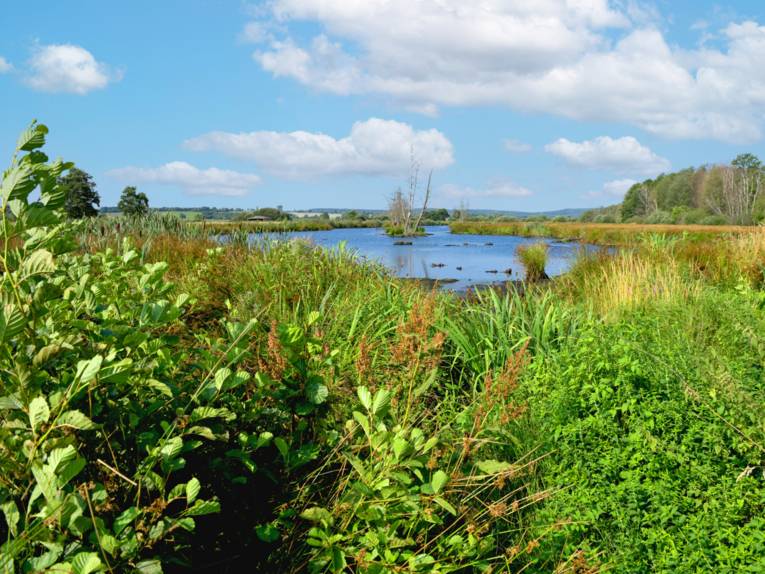 Wasserlandschaft am Steinhduer Meer