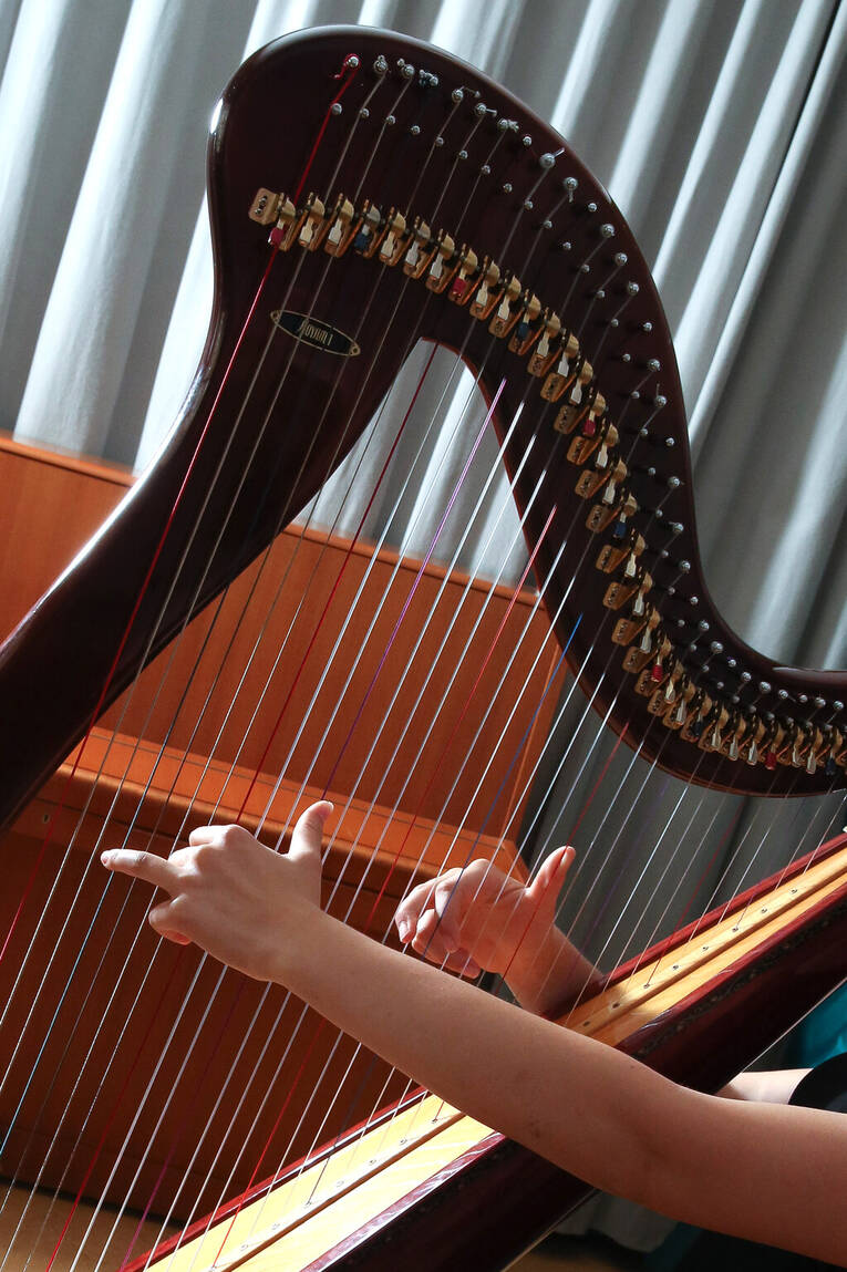 Harfe | Instrumente | Musikschule | Kultur & Freizeit ...